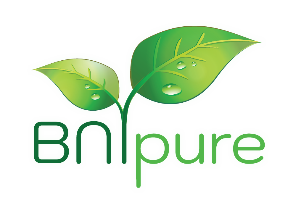 Request A Quote - BNI Pure - Elevating Supplement Manufacturing to an ...